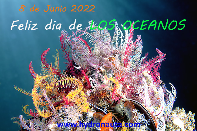 Inmersiones y buceo en Galicia